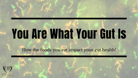 How the Foods you Eat Affects your Gut - CrossFit Oyster Point
